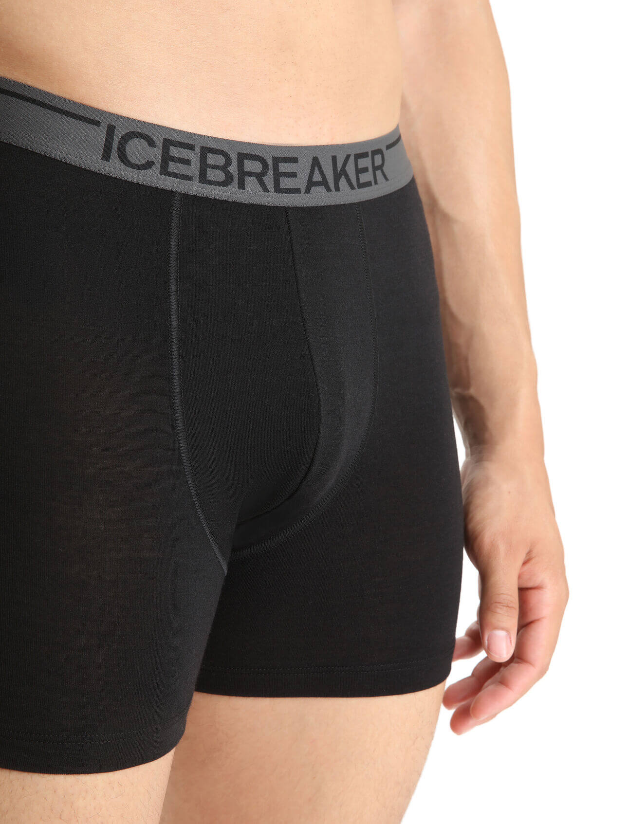 Icebreaker Anatomica Boxershorts kaufen | LivingActive