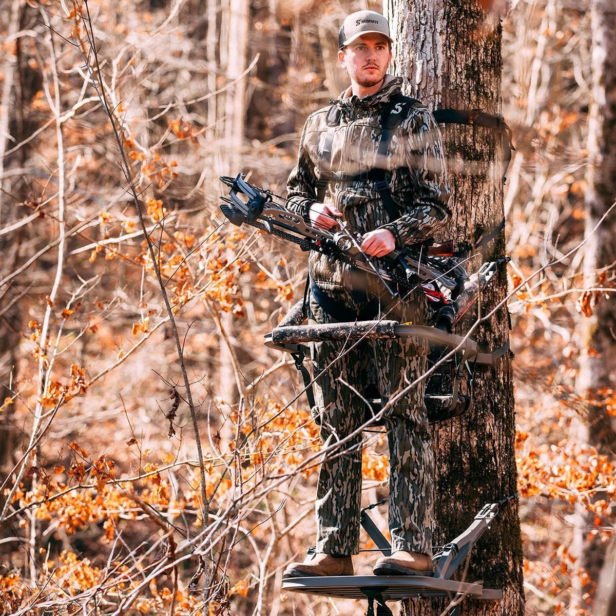 Summit Element Safety Harness Large Sicherheitsgeschirr kaufen ...