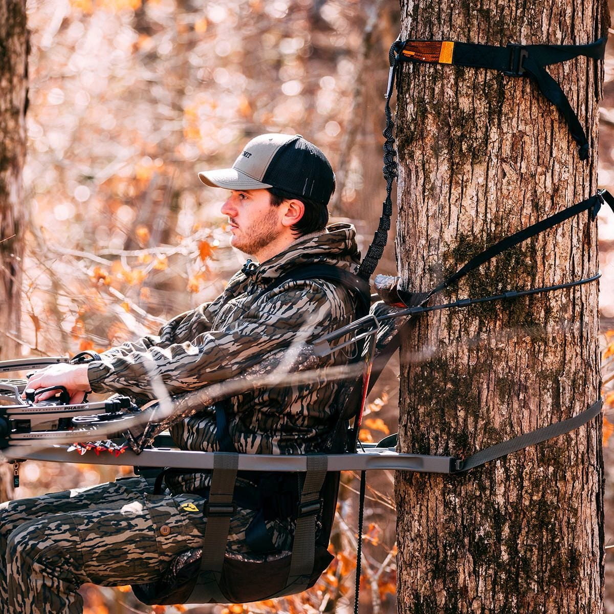 Summit Element Safety Harness Medium Sicherheitsgeschirr kaufen ...